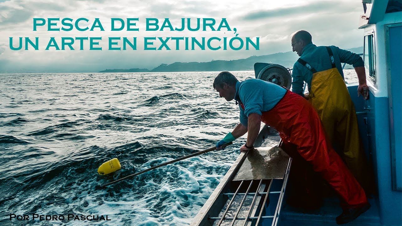 Guía Completa sobre Pesca Bajura: Técnicas y Consejos Esenciales ...