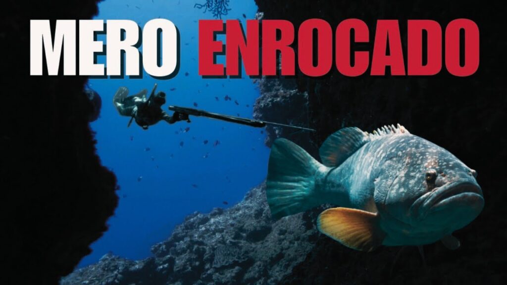 Pesca con Arpón: Guía Completa para Principiantes y Expertos ...