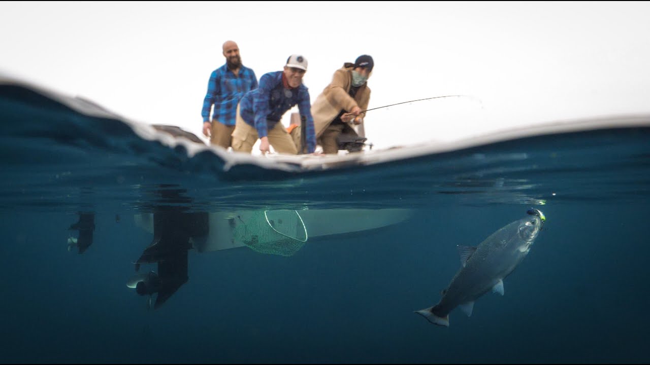 Lago Llanquihue Pesca: Guía Completa para Atraer Pescados ...