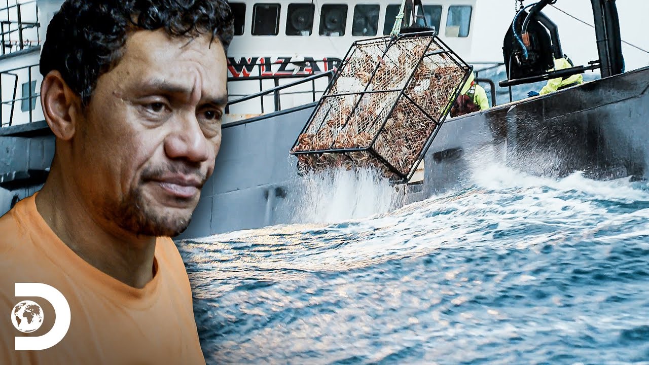 Pesca que se desarrolla en los mares: Guía completa y consejos ...