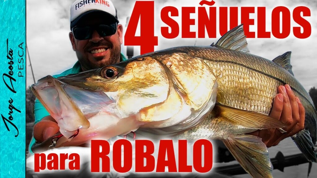 Armada para Pesca Robalo en Chile: Guía Completa y Consejos ...