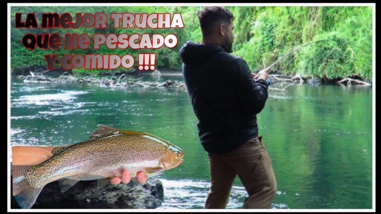 Pesca Chile SA: Guía Completa para Aficionados y Profesionales ...