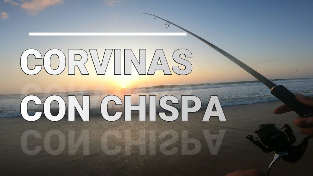 Pesca Corvina con Chispa: Técnicas y Consejos Efectivos ...