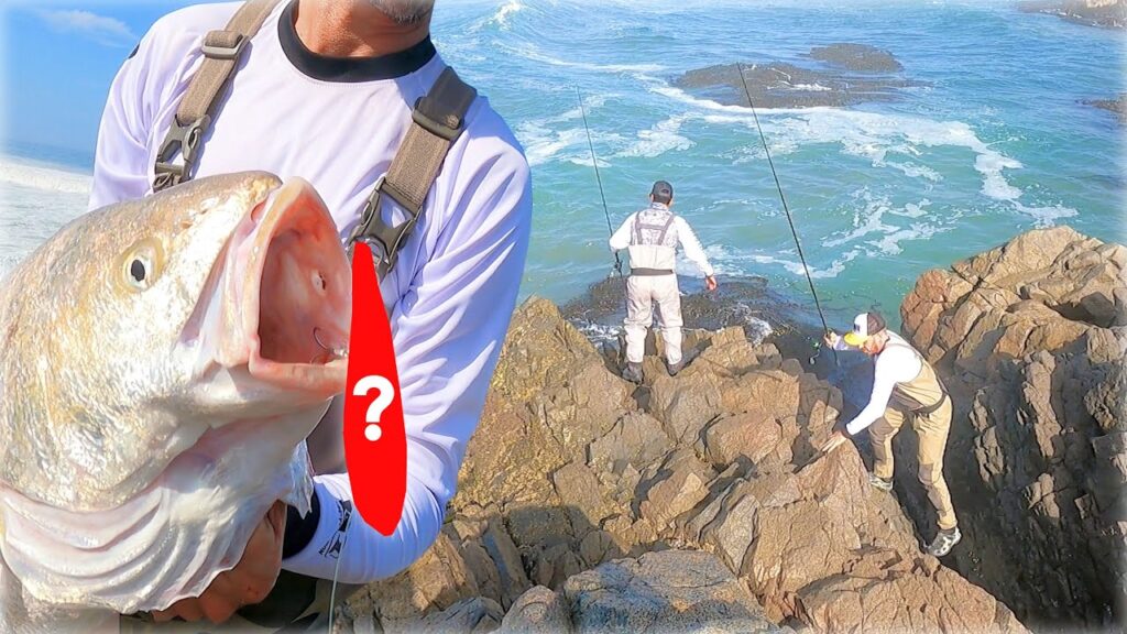 Guía Completa para la Pesca de Corvina: Técnicas y Consejos ...