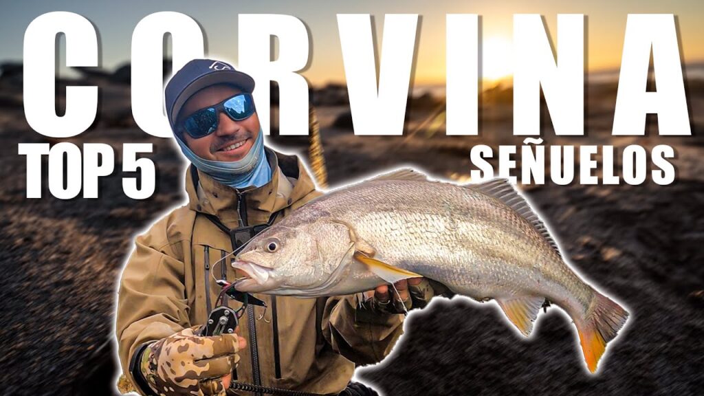 Pesca de Corvina con Señuelo: Técnicas y Consejos Efectivos ...