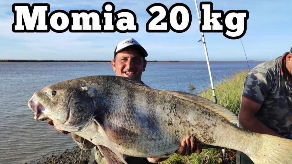 Pesca de Corvina Negra en Lavalle: Guía Completa y Consejos ...