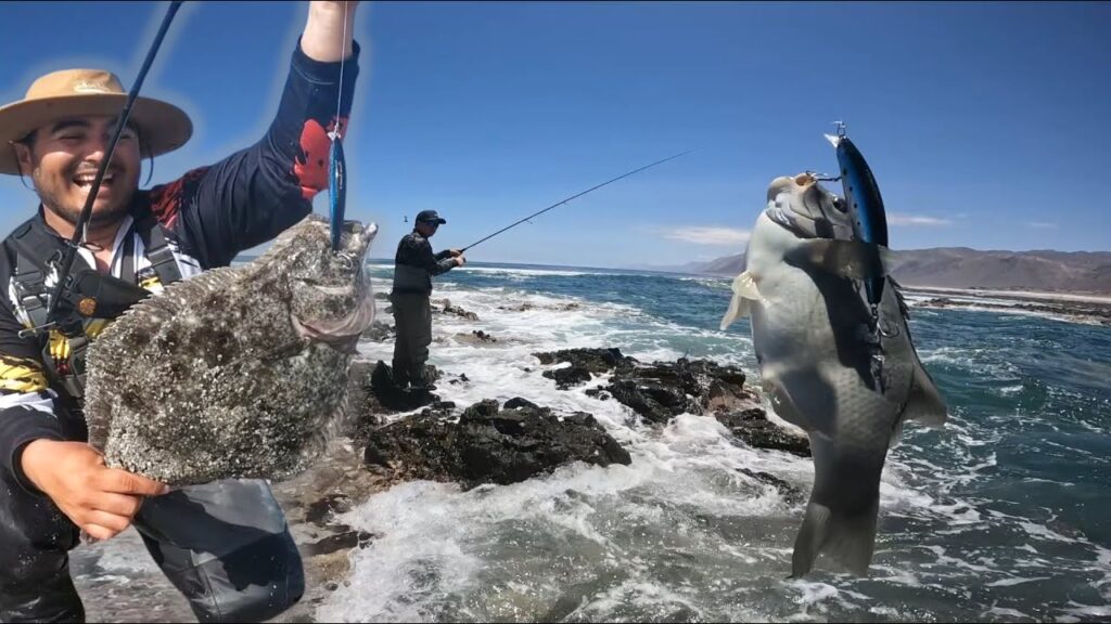 Pesca de Mar en Chile: Guía Completa para Aficionados y Expertos ...