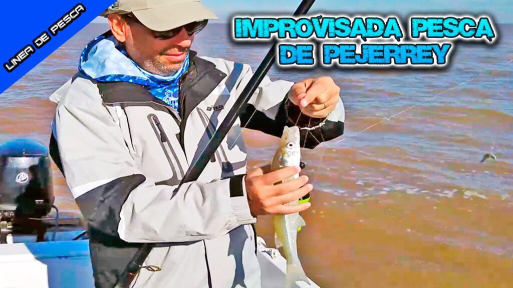 Pesca de Pejerrey en el Río de la Plata Hoy: Guía Actualizada ...