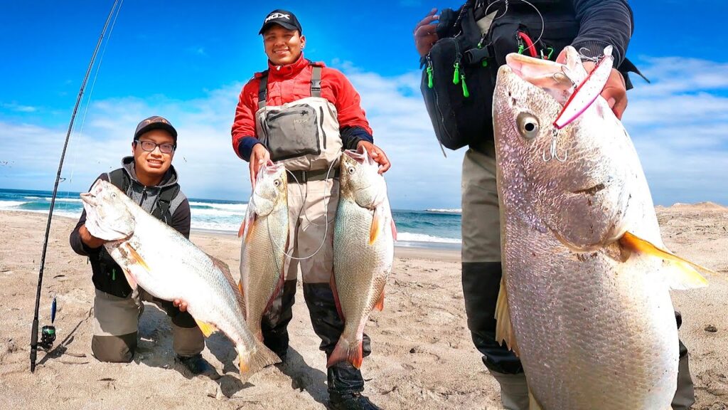 Pesca Deportiva de Corvina: Guía Completa y Consejos Útiles ...