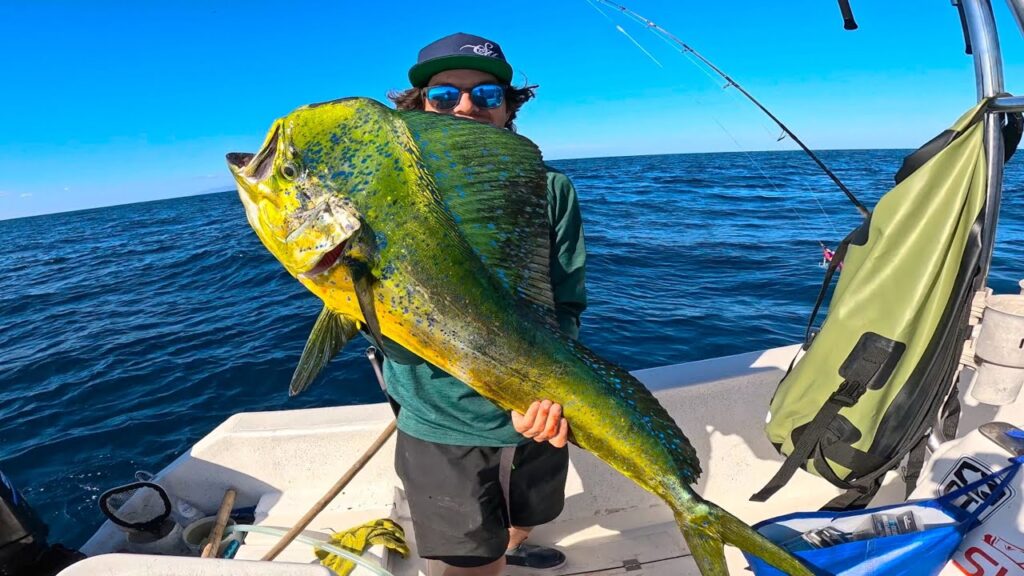 Pesca en el Mar: Guía Completa para Principiantes y Expertos ...
