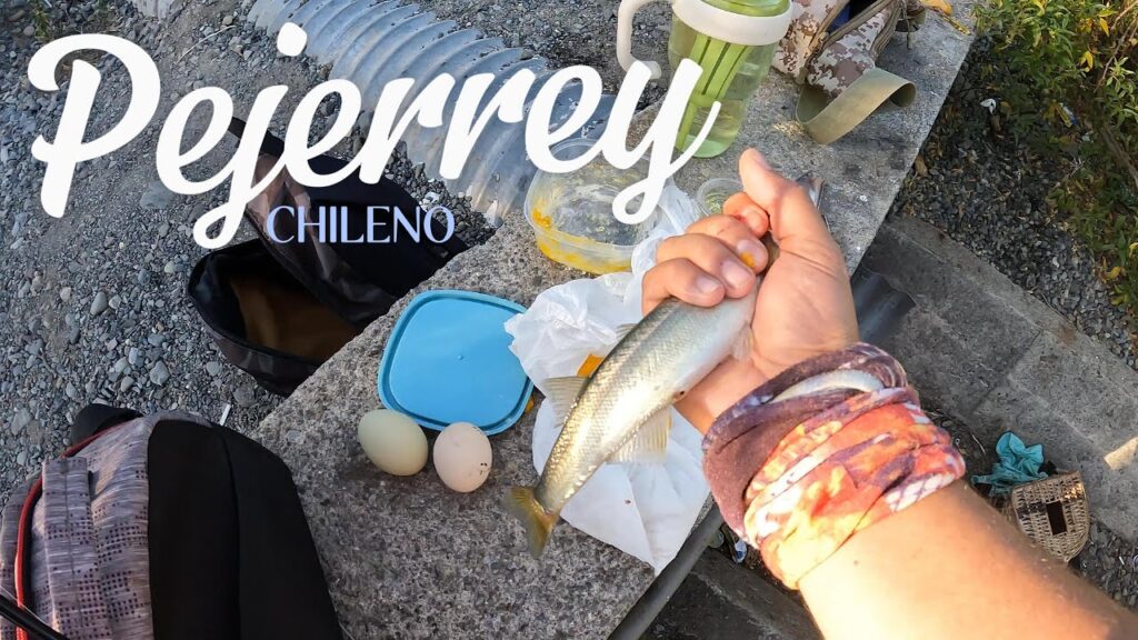 Pesca en Lago Colbún: Guía Completa para Pescadores 2023 ...