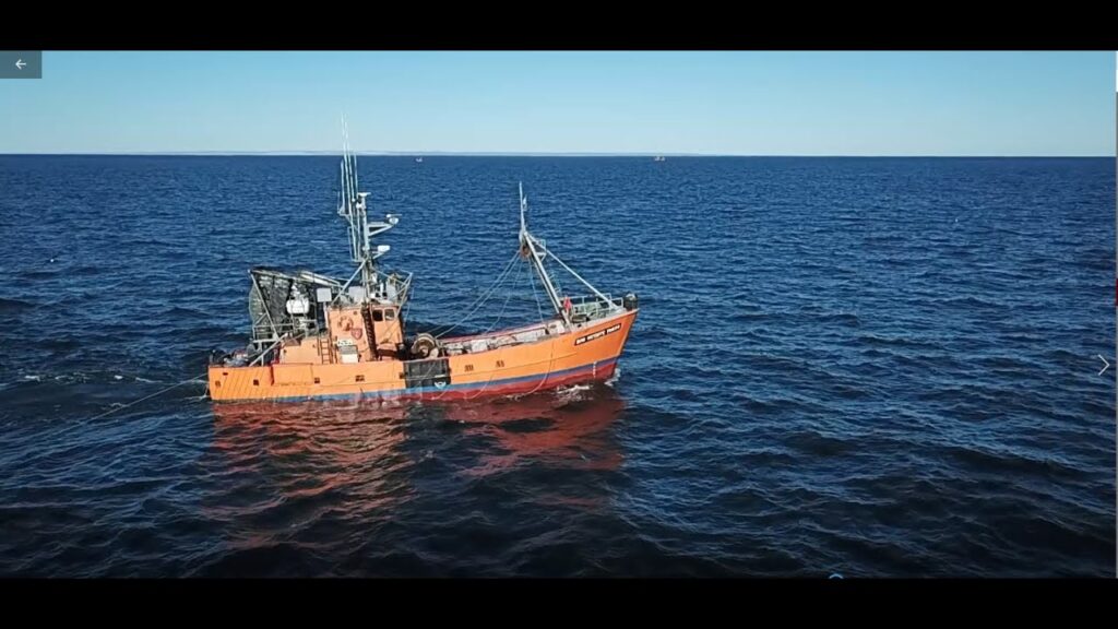 Pesca Marítima en Argentina: Guía Completa y Mejores Destinos ...