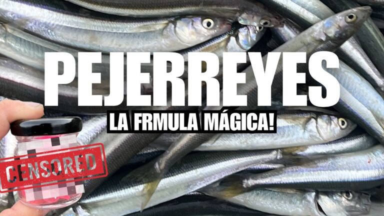 Veda Pesca Chile: Todo lo que Debes Saber para 2023 - AventurasenelAgua.cl