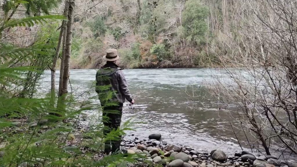 Pesca Río Toltén 2022: Guía Completa y Mejores Consejos ...