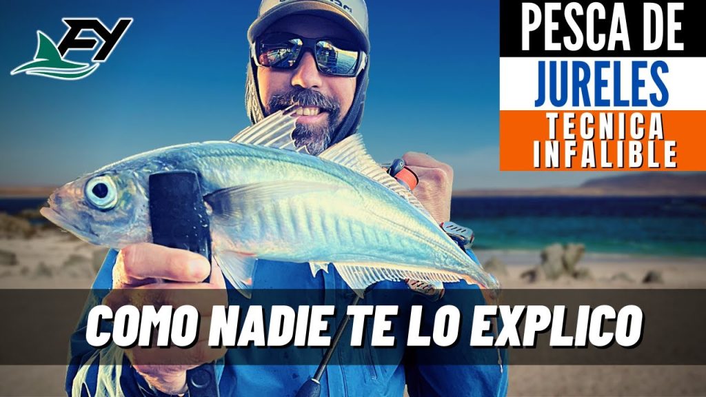 Pescar jureles desde costa: Guía completa y consejos prácticos ...