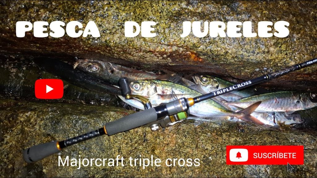 Cómo Pescar Jureles: Técnicas y Consejos Esenciales - AventurasenelAgua.cl