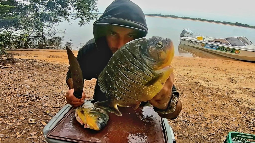 Pescare Argentina: Guía Completa para Pescar en el País - AventurasenelAgua.cl