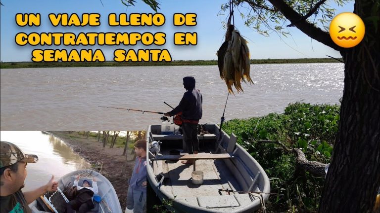 Se Pesca: Técnicas y Consejos para Capturar Más Pescados ...