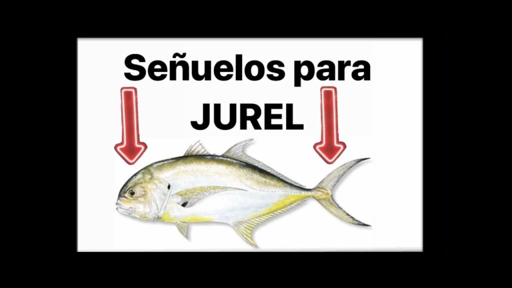 Señuelos para Pescar Jureles: Guía Completa y Efectiva ...
