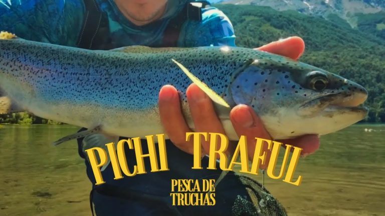 Truchas Neuquén: Guía Completa para Pescar y Disfrutar ...