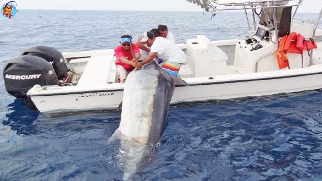 Pesca de Marlin Azul Gigante: Guía Completa y Consejos Útiles ...