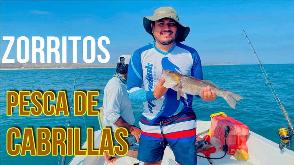 Pesca Deportiva en Perú: Guía Completa y Mejores Destinos ...