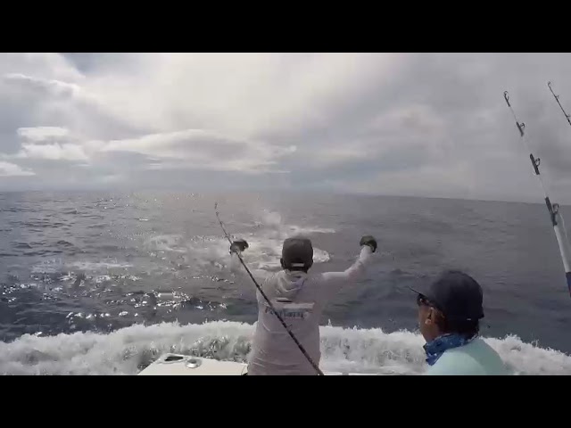 Pesca do Marlin Azul em Canavieiras: Dicas e Melhores Práticas ...