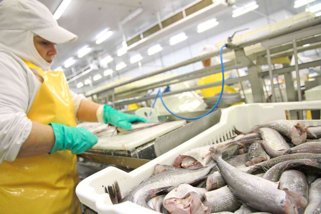 Vedas de pesca en Chile: Veda de especies marinas y extractivas