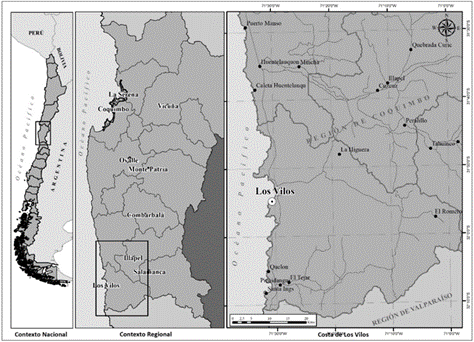 Veda y regulación del molusco loco: protección del loco chileno