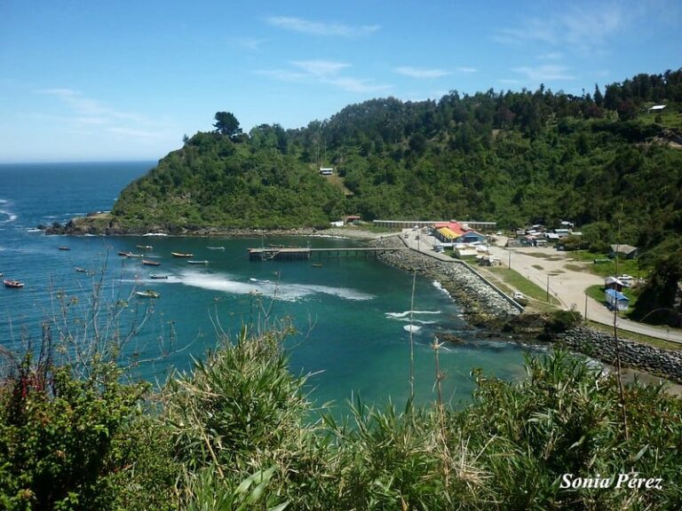 Bahía Mansa: Playa, Ubicación y Cómo Llegar - Chile
